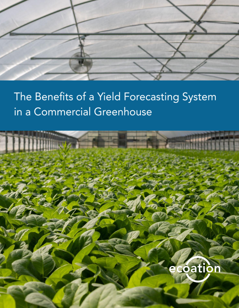 Benefits of Yield Forecasting Platform System for Commerical Greenhouses