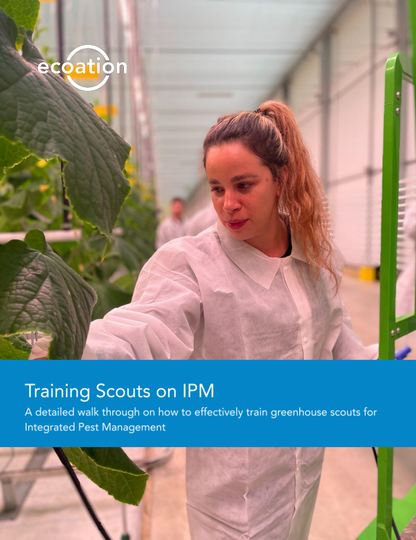 Greenhouse Scout Training for Integrated Pest Management